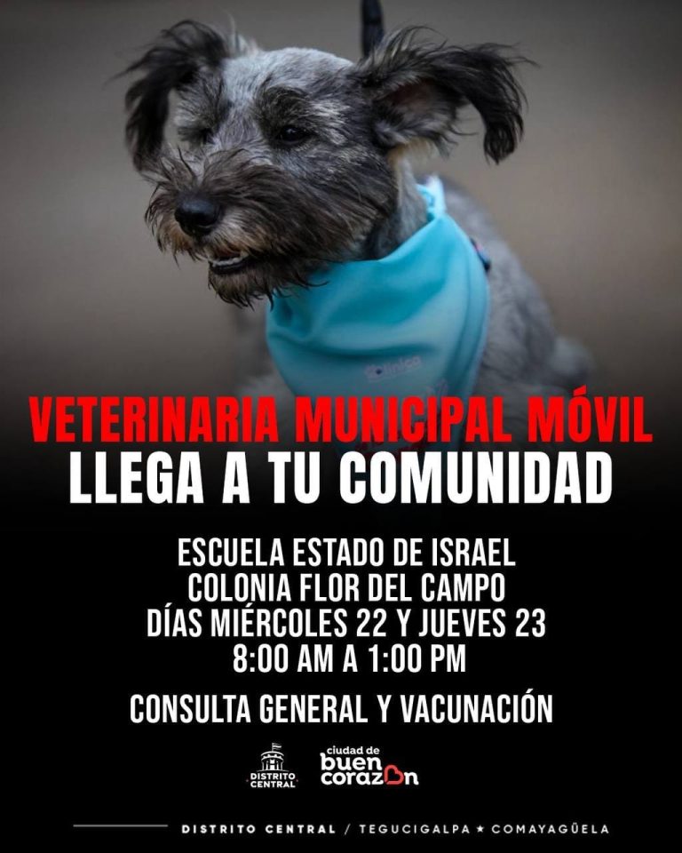 FISCALES DE UNAF LOGRAN AUTO DE FORMAL PROCESAMIENTO CONTRA ELMER ...